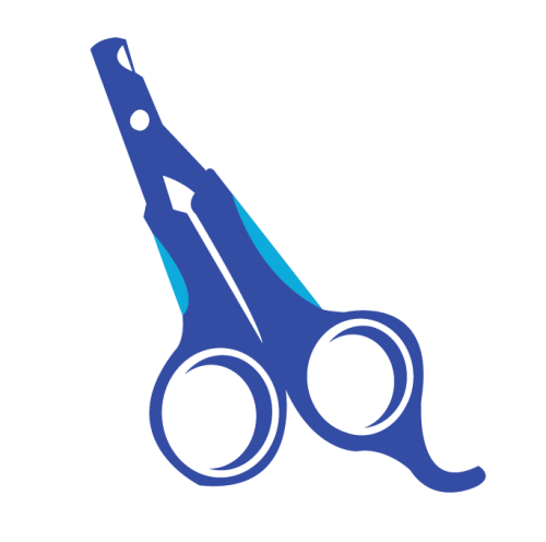 Parrot Boarding & Grooming Services